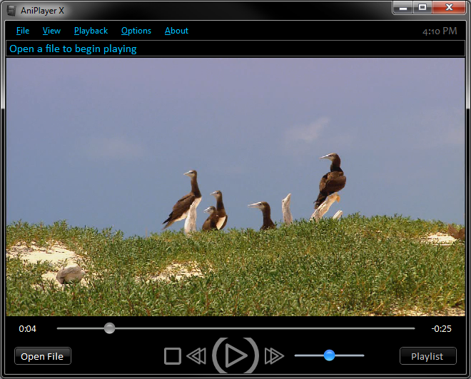 History · mochi-player